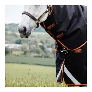 rambo exercise sheet sizing