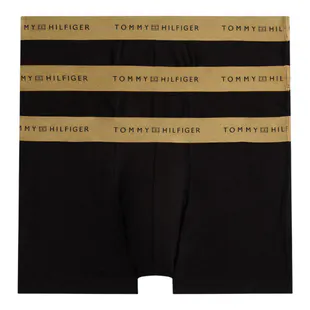 Tommy Hilfiger Mens MW0MW Polo (Blue) | Sportpursuit.com