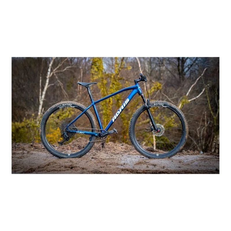 Adris VTT Semi-Rigide Sturdy Sram SX Eagle 12V (Bleu) | privatesportsh