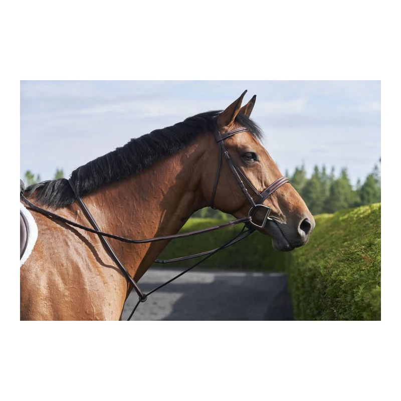 Butet Martingale Hunter USA (Cachou) | privatesportshop.fr