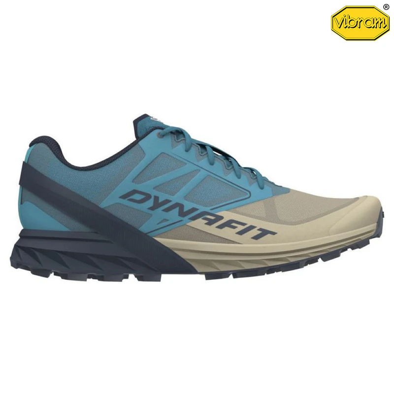 Dynafit Mens Alpine Trail Running Shoes (Multi) | Sportpursuit.com