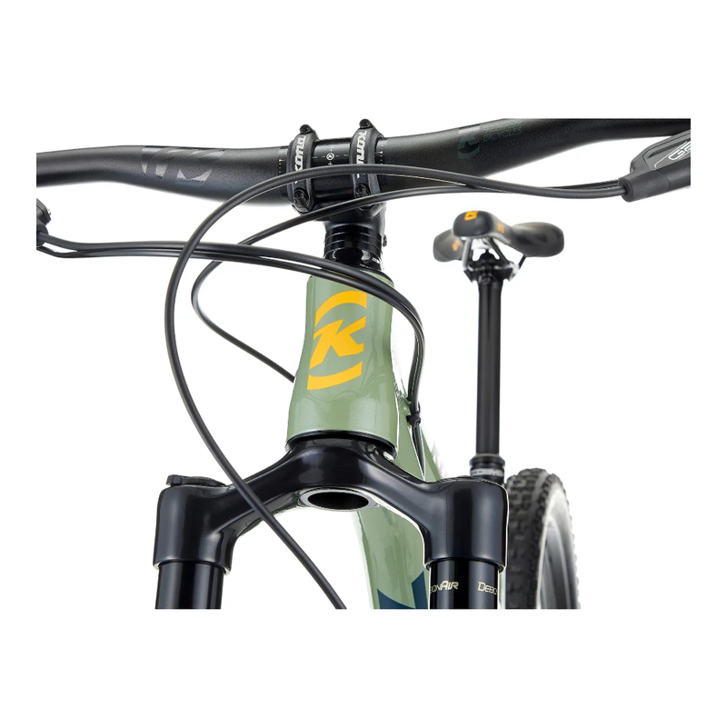 Kona VTT tout Suspendu Process 134 DL 29 (Vert) | privatesportshop.fr