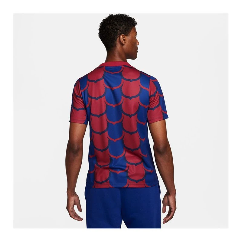 Nike Maillot FCB Homme (Bleu) | privatesportshop.fr