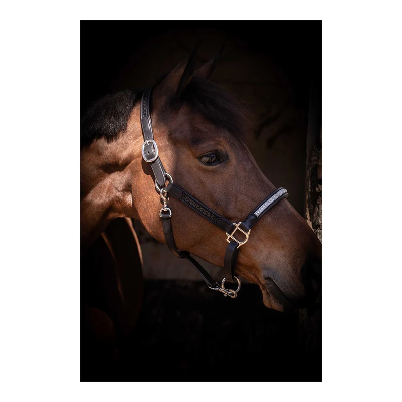 Penelope Licol Harmonie (Noir) | privatesportshop.fr