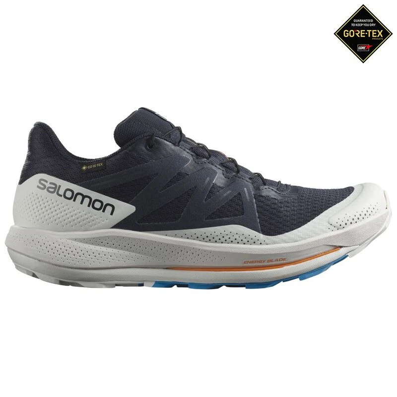 Salomon Mens Pulsar Trail GTX Shoes (Night Sky/Lunar Rock/Indigo Bunti