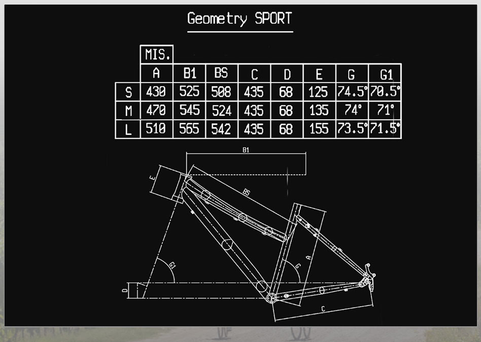 Bianchi Size Guide